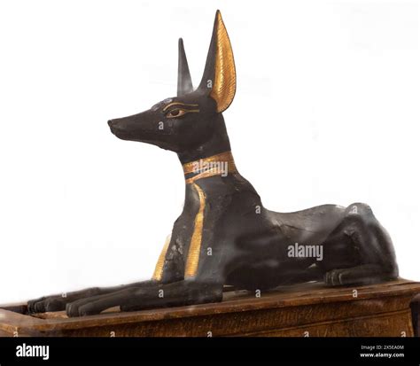 The Jackal God Anubis Depicted In A Stone Sculpture Found In Carvings