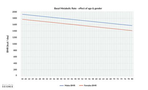 Tdee 101 How Many Calories Should I Eat Tdee Calculator