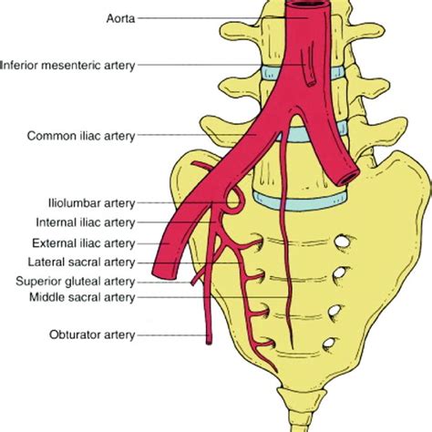 The Denis Classification Of Sacral Fractures A The 3 Zones Zone I