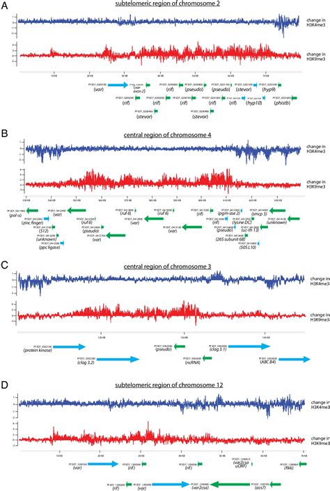 The Human Malaria Parasite Plasmodium Falciparum Can Sense