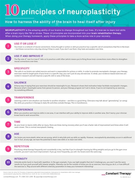 10 Principles Of Neuroplasticity Pdf