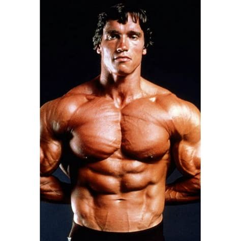 Arnold Schwarzenegger Muscle