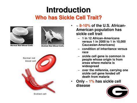 Ppt Sickle Cell Trait Powerpoint Presentation Free Download Id536912