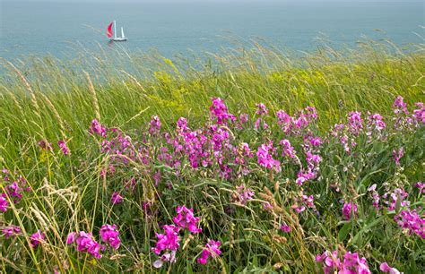 Our Collections Coaste