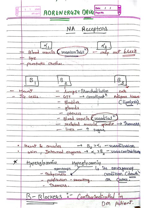 Solution Adrenergic Drugs Classification Studypool