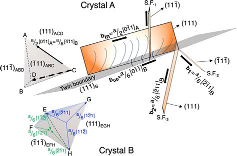 A Schematic Illustration Shows The Precursors Of Deformation Twin Are