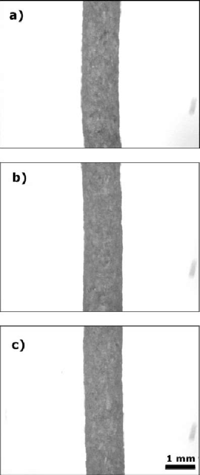 Extrudate Surface Morphology After Download Scientific Diagram
