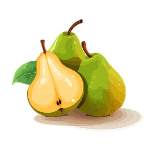 Premium Vector Pears Vector On White Background