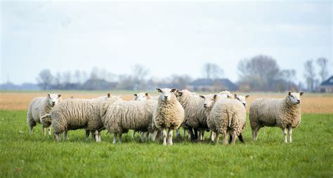 Meet Chris Nifa Technologies