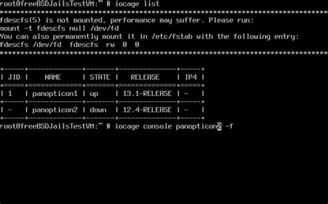 Iocage Setup The FreeBSD Forums