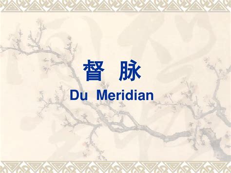 经络腧穴各论 督脉 word文档在线阅读与下载 无忧文档