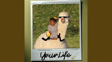 Your Life Youtube