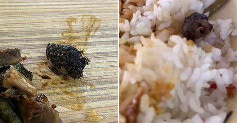 學餐「吃到老鼠頭」驚見長毛大門牙 學校回應：是鴨脖子 Beanfun
