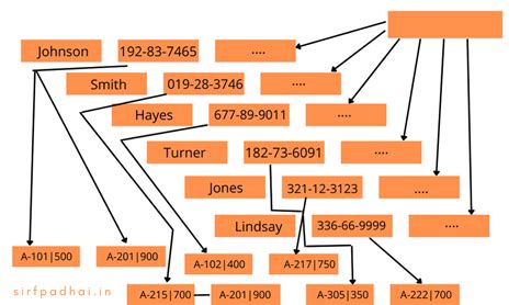 Discuss Main Categories Of Data Models In Dbms Types Of Data Models