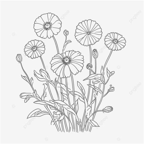 Two Rows Of Flowers In Outline Pattern Coloring Pages Sketch Drawing