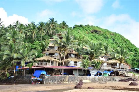 나무 앞 해변에 있는 한 무리의 사람들 사진 Unsplash의 무료 자연 이미지