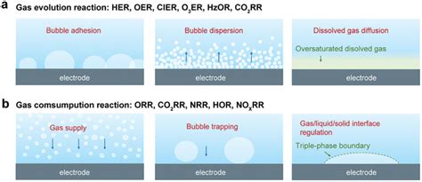 Gas Bubble Challenges In The Gas‐involving Reactions A Gas Evolution Download Scientific