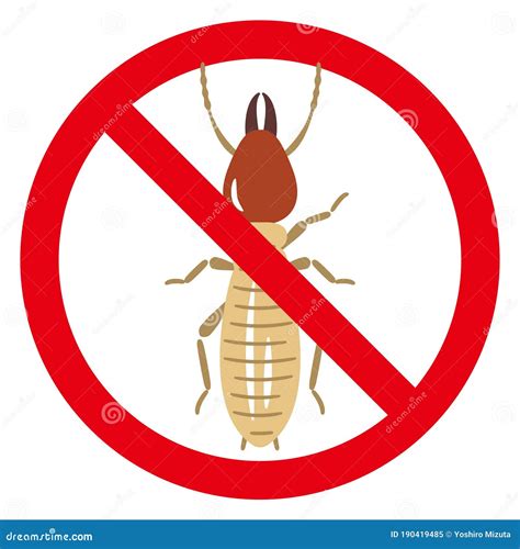 Termite In Prohibited Red Circle Sign Isolated On White Background