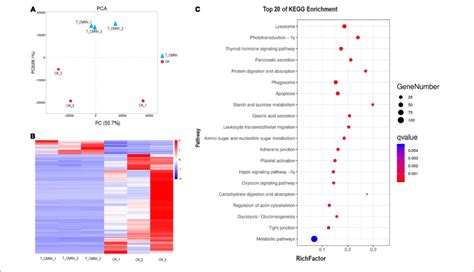 Differential Transcriptome Analysis Of The Healthy And Infected