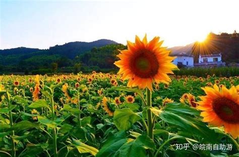 安徽这10个小众地方景美人少还不要门票 知乎