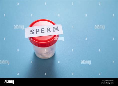 Sperm Sample Collection Container Stock Photo Alamy