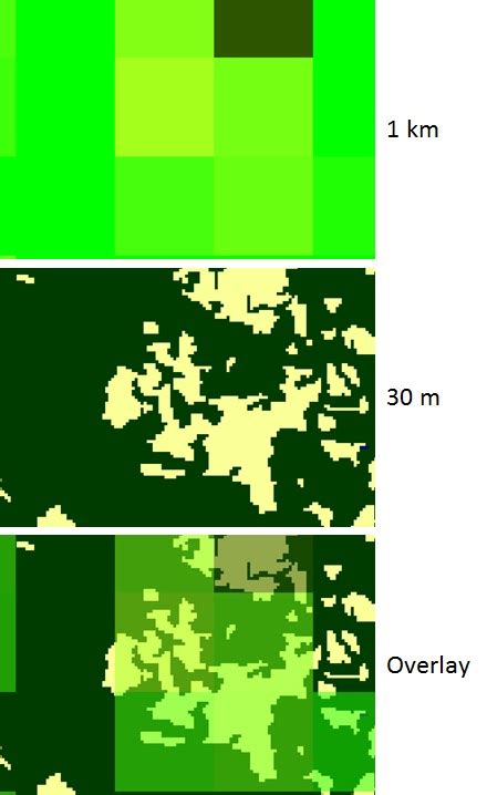 Python Extracting The Pixelwise Proportion Of Classes Of A Finer
