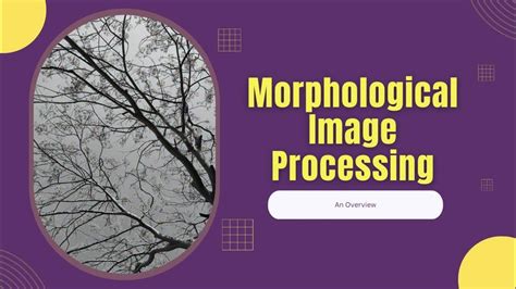 Morphological Image Processing Dm Project Youtube