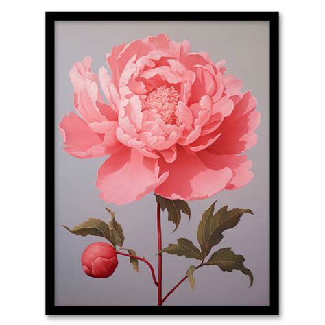 Pink Peony Flower Floral Elegant Wall Art Print By Wee Blue Coo