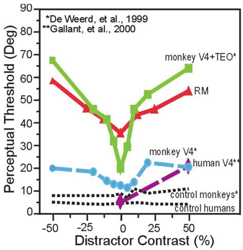 The Psychometric Function Of Rm For The Orientation Discrimination