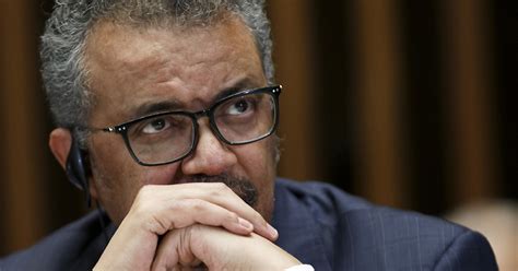 Who 원숭이두창 국제보건비상사태 회의 개최코로나19처럼 현황판도 공개