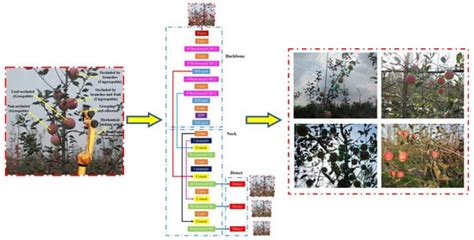 Remote Sensing Free Full Text A Real Time Apple Targets Detection