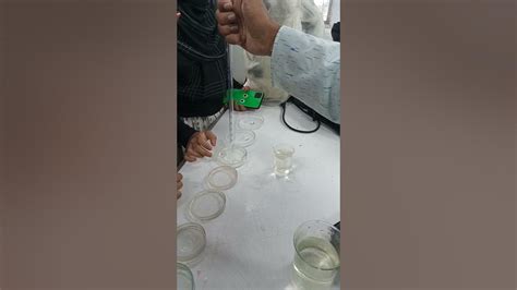 Agb Practical Determination Of Sap Concentration By Plasmolytic Method