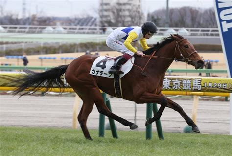 【pog】3歳戦独断評価（1月29、30日） 評判馬対決を制したカナテープ楽しみ 競馬ニュース Netkeiba