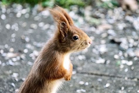 Mein Neuer Freund Foto And Bild Tiere Wildlife Säugetiere Bilder
