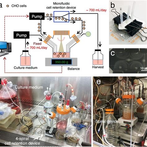 The Microfluidic Cell Retention Device A Cell Retention By Hollow