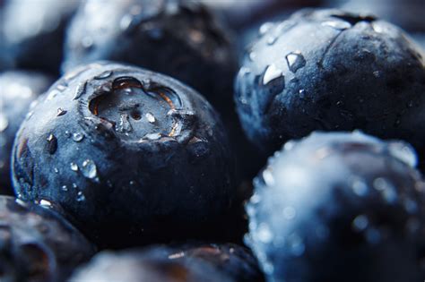 자연 배경입니다 잘 익은 육즙 신선한 블루베리 근접 촬영에 큰 아름 다운 물 방울 추상 자연 질감 및 배경 유기 패턴의 매크로 보기 복사 공간 매크로 샷 사진 이미지에 대한