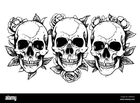 Skull With Roses Hand Drawn Ink Sketch Engraved Style Vector