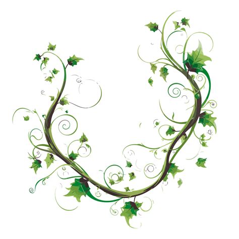 녹색 덩굴 벡터 흰색 배경 만화에 스티커 클립 아트 화환과 포도 나무 모양의 프레임 상표 클립 아트 Png 일러스트 및 벡터 에 대한 무료 다운로드 Pngtree