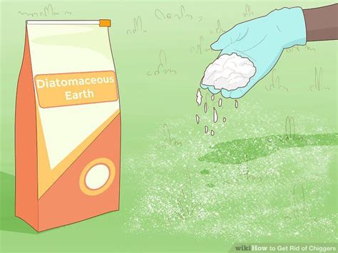 3 Ways To Get Rid Of Chiggers Artofit
