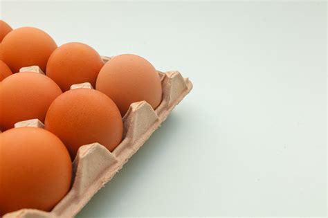 갈색 케이지 무료 치킨 계란 판지 파란색 배경에 닫습니다 부활절 카드 개념에 대한 스톡 사진 및 기타 이미지 개념 공장