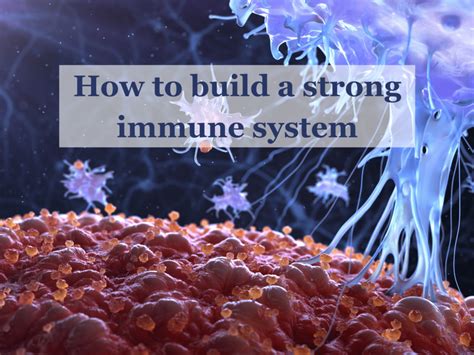 How To Build A Strong Immune System Sano