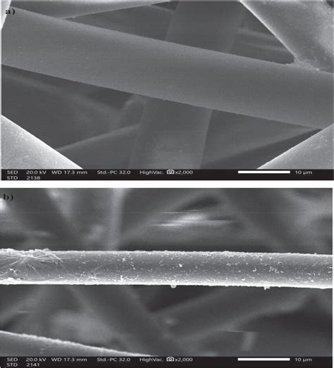 Sem Micrographs Of The A Pristine Tf And B Modified Tf Download