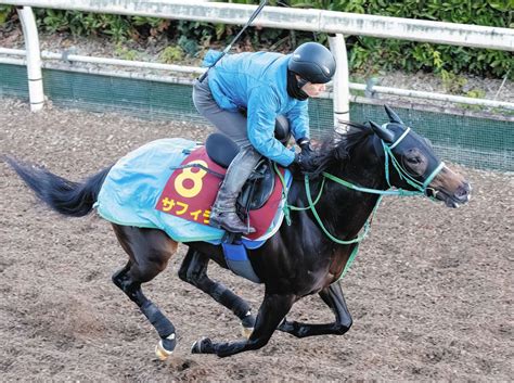 1番人気のサフィラは4着 松山「まだまだ成長してくれる馬」【阪神jf】：中日スポーツ・東京中日スポーツ