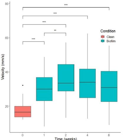 4 Expected Settling Velocity Calculated Using Ferguson And Church Download Scientific Diagram