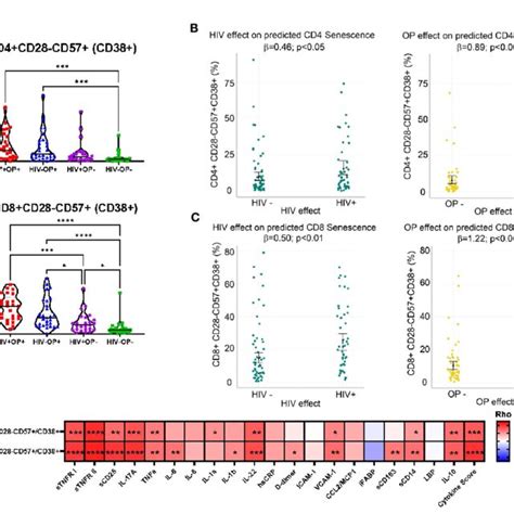 Cd38 Expressing Terminally Differentiated Senescent Like T Cells Are Download Scientific