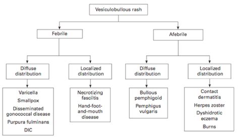 Rash Medtx