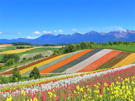 「移住したい都道府県」ランキング！ 同率2位「東京都」「北海道」を抑えた1位は？22 All About ニュース
