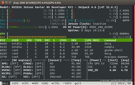 【nvidia Jetson Xavier Nxagxnano】上用docker跑pytorch等cv推理应用nvidia Docker