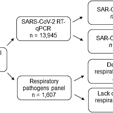 Schematic Illustration Of The Study Population Rt Qpcr Download
