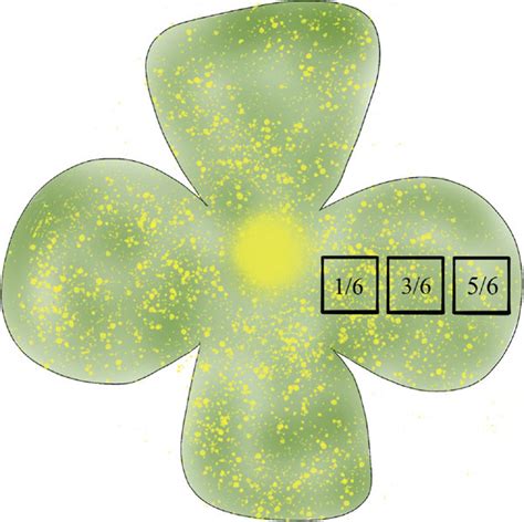 The Schematic Diagram Of The Sampling Position For Rgc Quantification